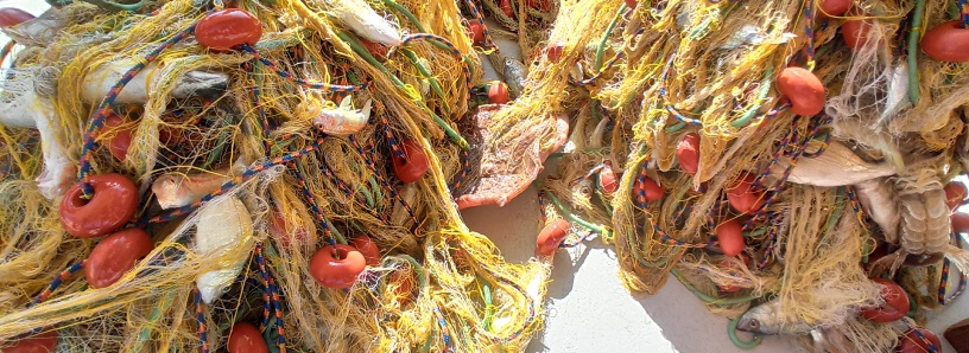 Kefalonia Fishing Cruise from Argostoli